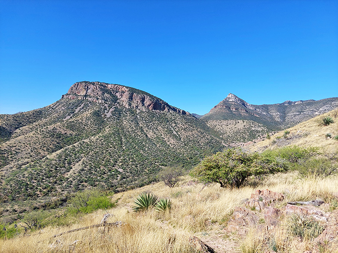 Step into Kartchner Caverns and enter a world straight out of Jules Verne's imagination. Who knew rocks could be so captivating?