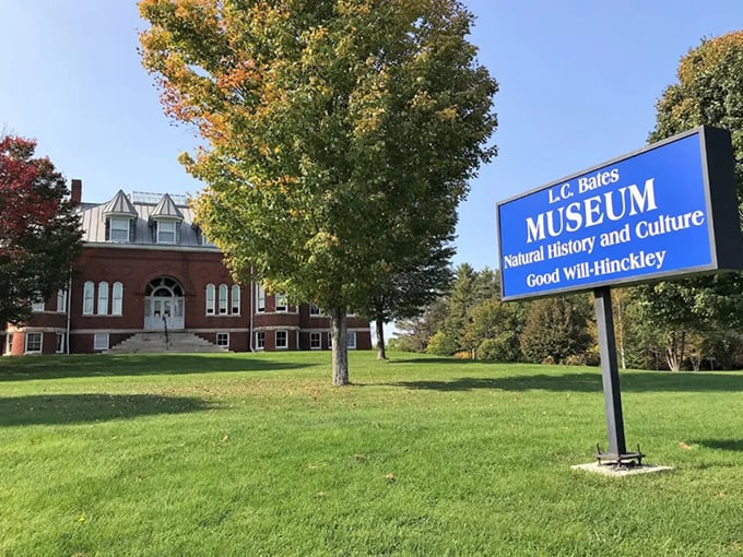 Nature meets nostalgia in this charming museum. It's like your eccentric uncle's attic, but better organized.