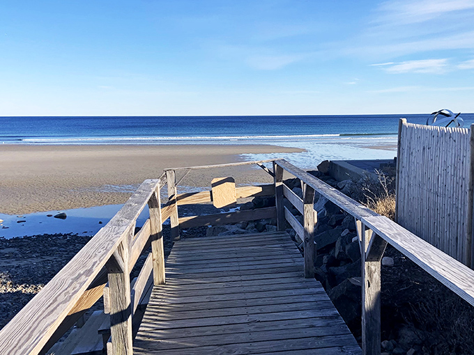 Where science meets serenity. It's like a beach day and a field trip had a beautiful, sandy baby.