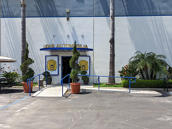 Lions and Lamborghinis and Fords, oh my! This pride of classic cars will have you roaring with delight.