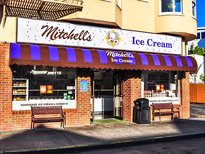 Mitchell's Ice Cream: Where flavors from around the world unite in creamy harmony. No passport required for this global taste trip.