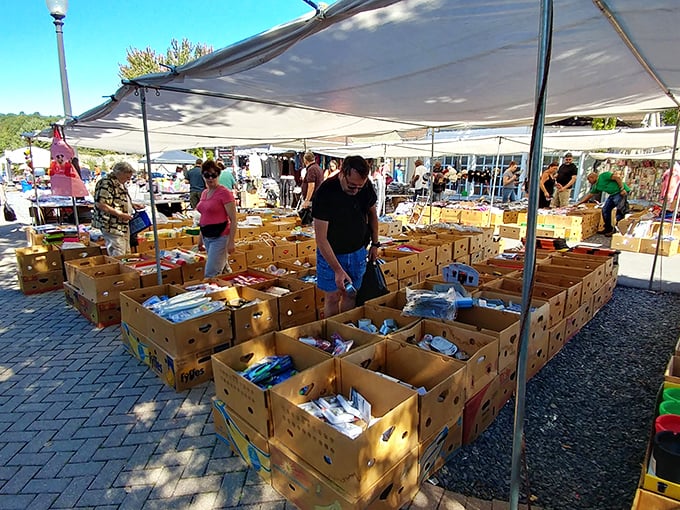 Pocono Bazaar Flea Market: Shop 'til you drop – or at least until your arms are full! Indoor stalls offer a respite from the elements.