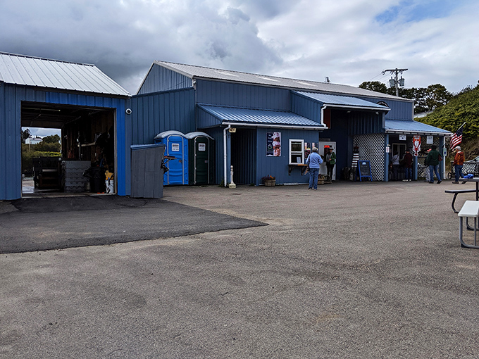 Quoddy Bay Lobster: So far east, you can almost taste Canada. But trust us, you'll want to focus on the Maine attraction.