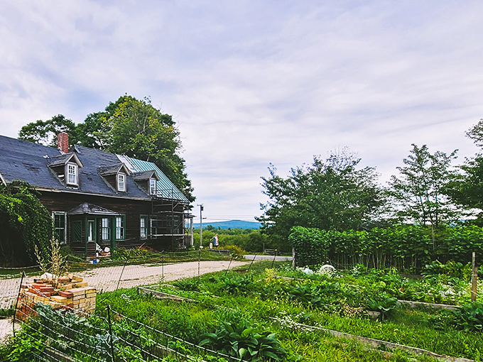 Shalom Orchard: Where organic practices meet palate-pleasing pours. It's like Mother Nature decided to become a sommelier!