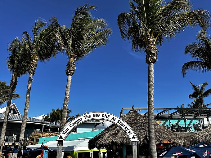 Sharky's on the Pier: Where 'finding Nemo' means discovering your new favorite seafood spot. Ocean views included!