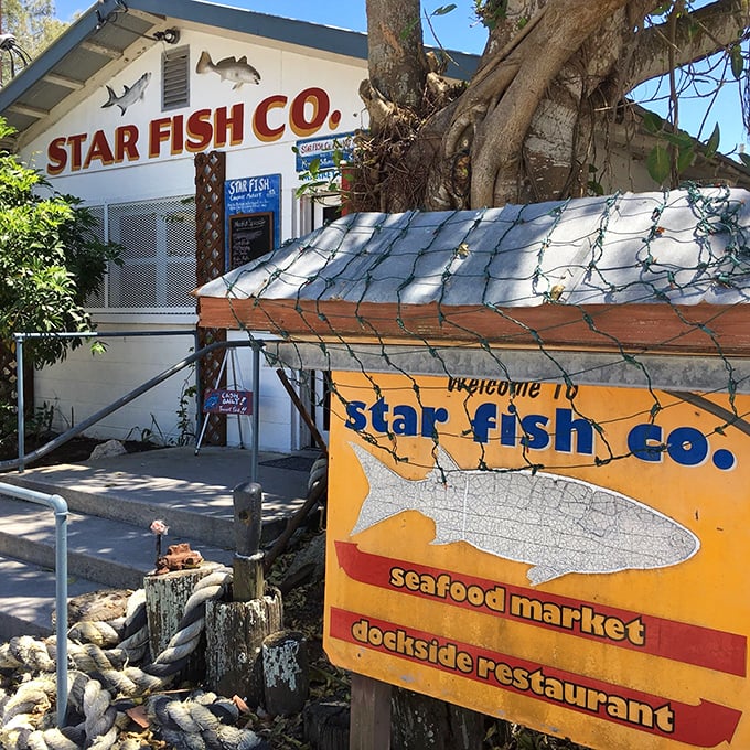 Star Fish Company: No frills, just thrills for your taste buds. It's like finding buried treasure, if the treasure was delicious stone crabs.