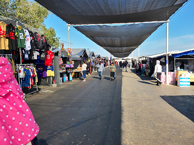 Stockton Open Air Mall: Where 'mall' means organized chaos and 'open air' suggests bringing an umbrella&hellip; just in case.