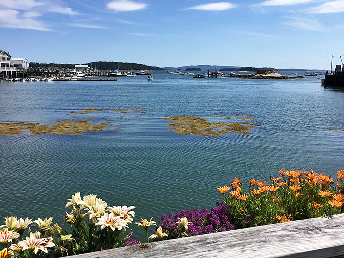 Stonington's seaside serenity: Where every view is postcard-worthy and lobster is practically a religion. Time to get converted!