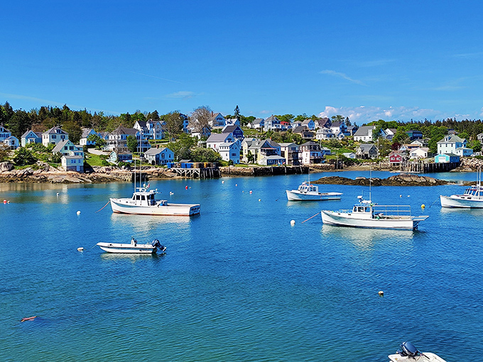 Stonington: Where lobsters tremble and tourists swoon. This working harbor offers an authentic slice of Maine's maritime heritage.