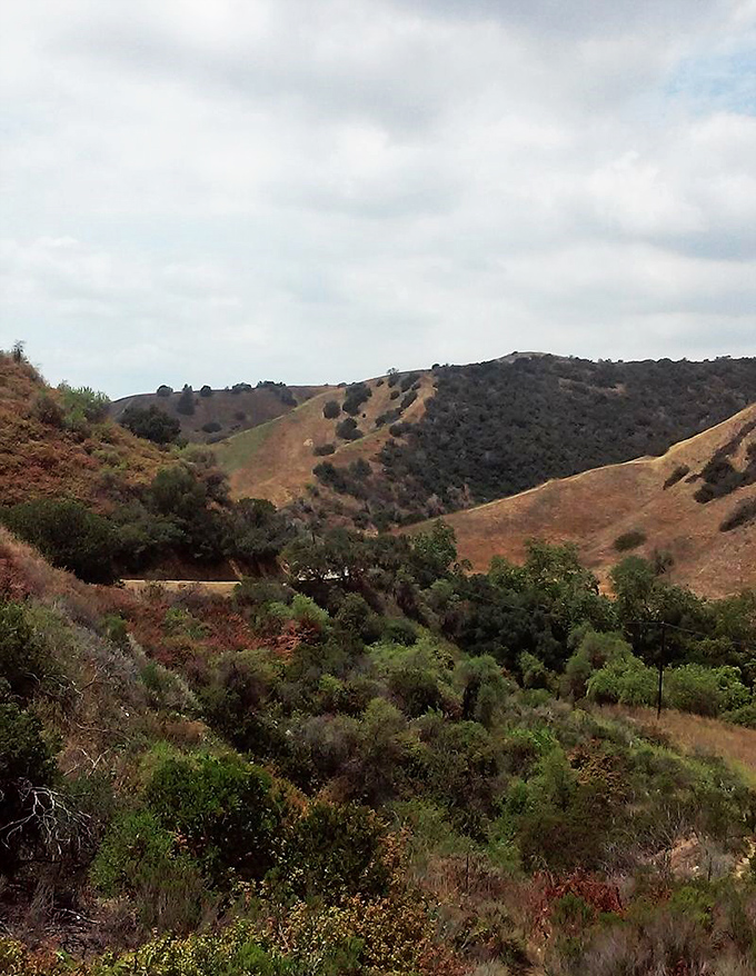 Turnbull Canyon: Where every hike comes with a side of heebie-jeebies. Beautiful by day, but as night falls, you might wish you'd packed some holy water.