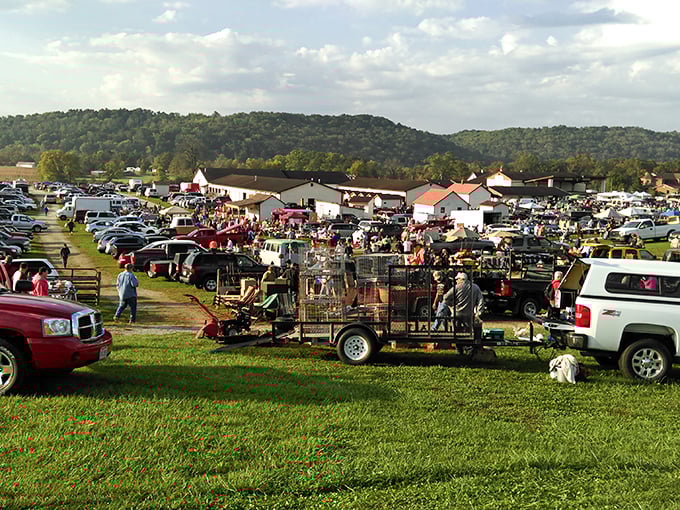 White's Farm: Where auctions meet antiquing! It's "Storage Wars" meets "American Pickers," with a side of funnel cake.