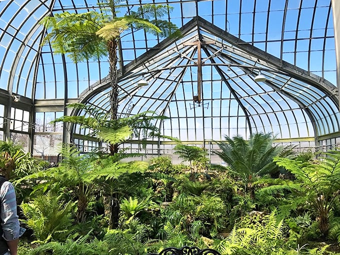 Jurassic Park meets 'The Secret Garden' inside this Victorian-era greenhouse. Hold onto your ferns, it's a wild ride!