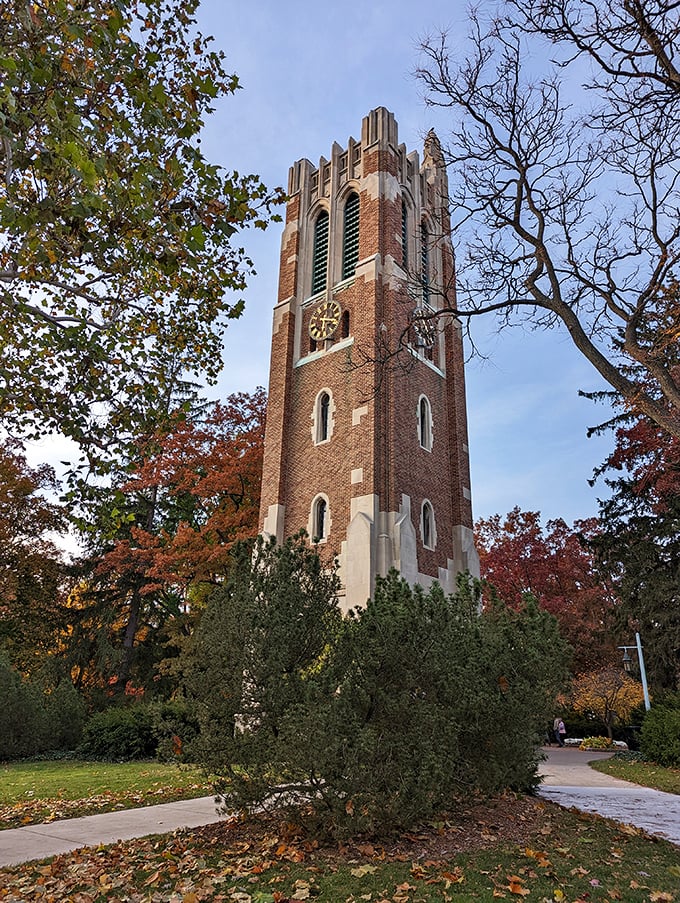 Part clock, part concert hall, all Spartan pride. This carillon tower is music to campus ears.