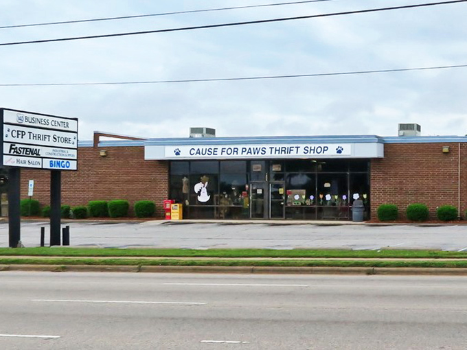 Bargains with bite! At Cause for Paws, you'll find treasures that'll have you purring with delight &ndash; all while helping our furry friends.