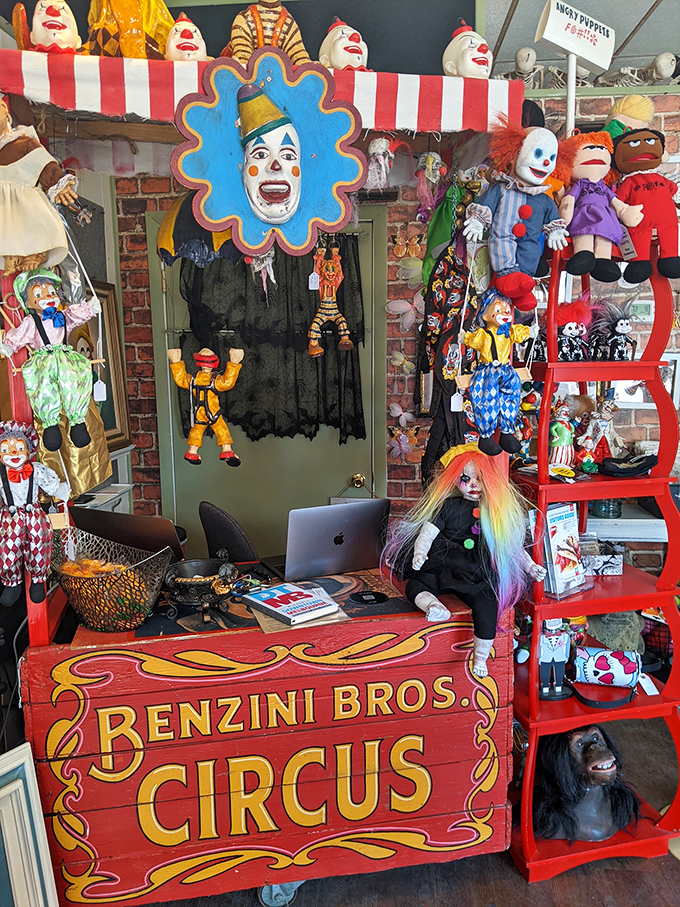 Curiosity shop meets art gallery in this kaleidoscope of creativity. It's where the weird and wonderful come to play, and normal is just a setting on the dryer.