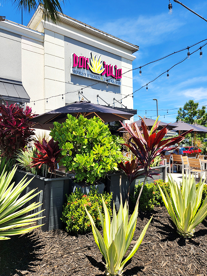 Fajitas that sizzle louder than Florida summer gossip! Don Julio's patio is the place to be for a fiesta under the palms.