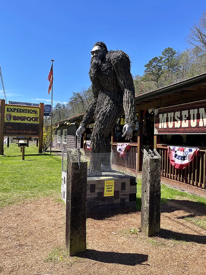 CSI: Cryptid Edition at the Sasquatch Museum. Warning: may cause sudden urges to go camping and invest in night-vision goggles.