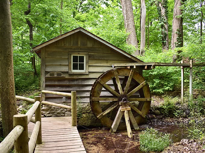 Twists and turns galore! Each path leads to a new surprise, like a garden-themed choose-your-own-adventure book.