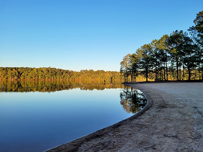 The calm waters invite you in for a dip, while the surrounding trees offer shade and serenity. Hard Labor Creek: where the name is ironic and the living is easy.