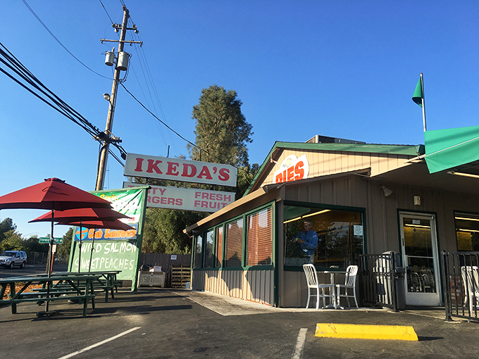 Fresh produce and hidden pie treasures. Ikeda's is the pot of gold at the end of the culinary rainbow.