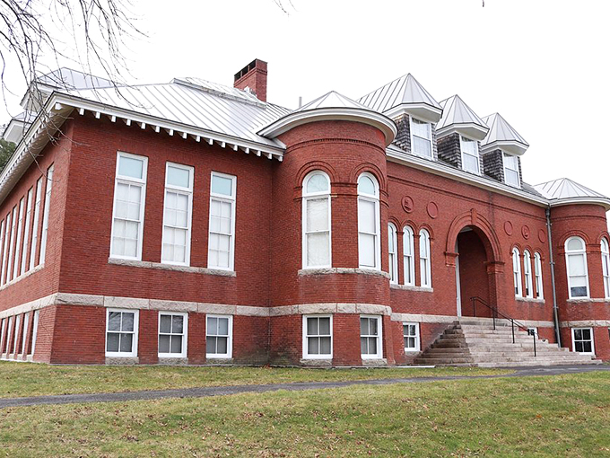 Where curiosity knows no bounds. This eclectic museum is a treasure trove of natural wonders.