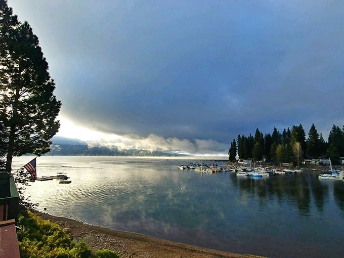 Liquid glass surrounded by green: Almanor's waters are an angler's dream and a nature lover's paradise.
