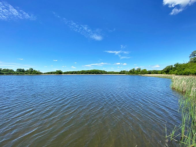 Maria's pristine shores: Where "beach body" means whatever body you bring to the beach. Relaxation is always in fashion here.
