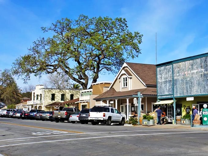 Los Olivos' main street: Small town, big flavors. It's like Napa's charming little cousin who knows how to throw a party.