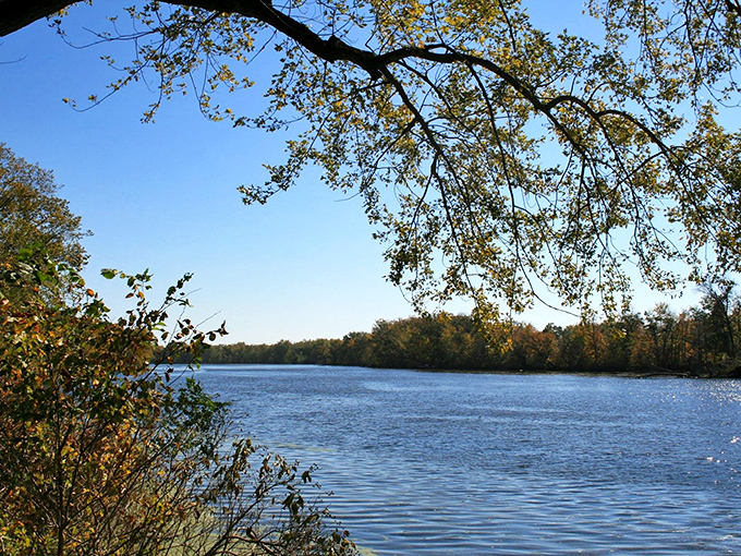 Merrick's river views: Proving that life is better with a side of water. No Venice gondolas required.