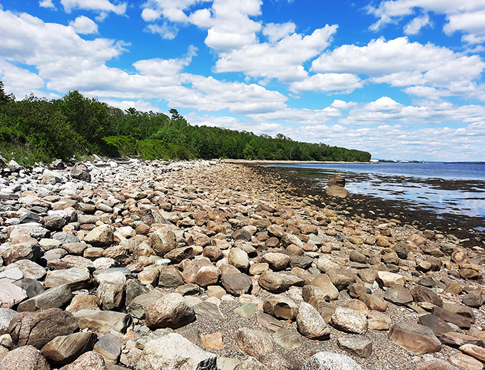 Rocky shores and lapping waves: Moose Point's coastline is nature's own ASMR, soothing souls one tide at a time.