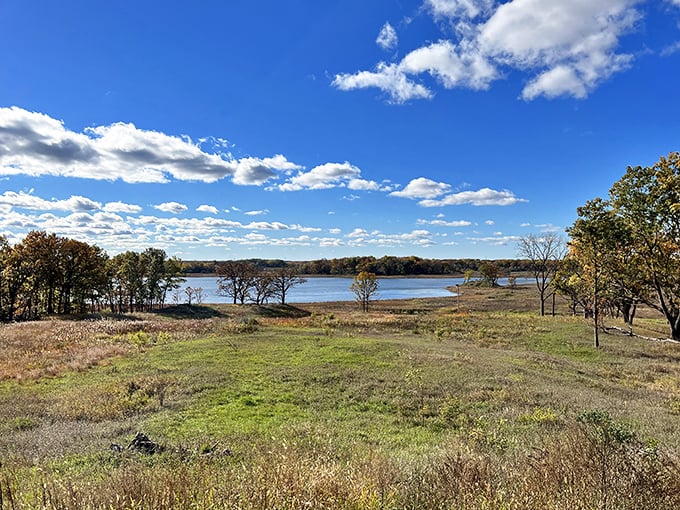 Nature's way of saying, "Winter's over, let's party!" It's a color explosion that puts Times Square to shame.
