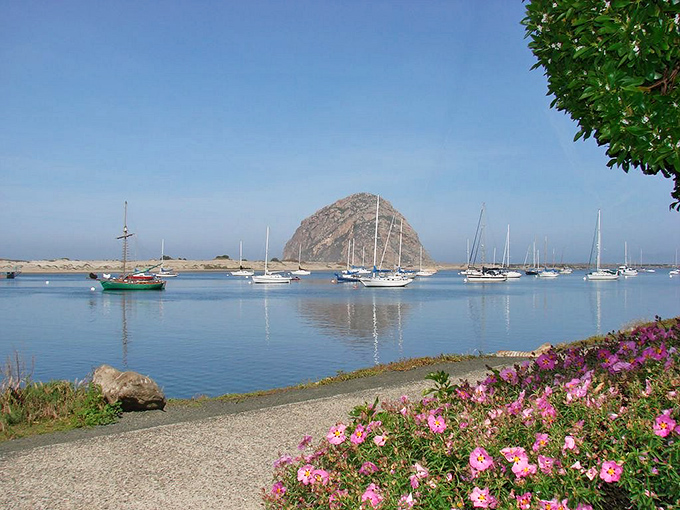 A boater's paradise: Morro Bay's marina. Sailboats bob gently in the calm waters, inviting dreams of seafaring adventures.