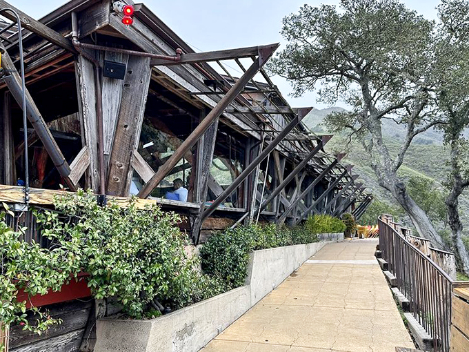Dinner with a side of Pacific panorama? Yes, please! Nepenthe: where Mother Nature moonlights as a sous chef.