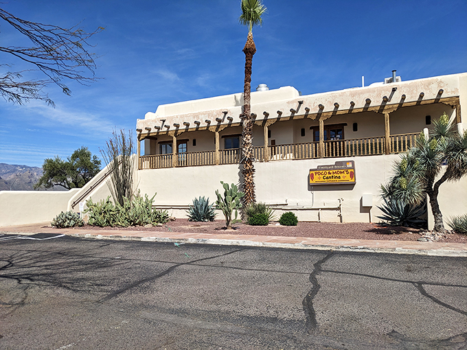 That shaded patio isn't just an entrance &ndash; it's nature's way of saying, "Come on in, the fry bread's fine!"