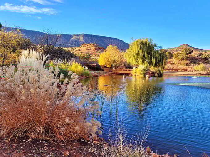 Who needs a pool when you've got Sedona's swimming holes? Nature's jacuzzis with a view that can't be beat.
