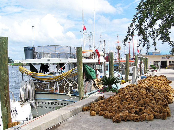 Tarpon Springs' sponge docks: Where Greek culture meets Florida sunshine. Opa! Let's dive into some Mediterranean magic.