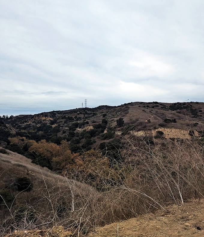 Scenic trails by day, hotbed of urban legends by night. Turnbull Canyon offers panoramic views and possibly a peek into the paranormal – hike at your own risk!