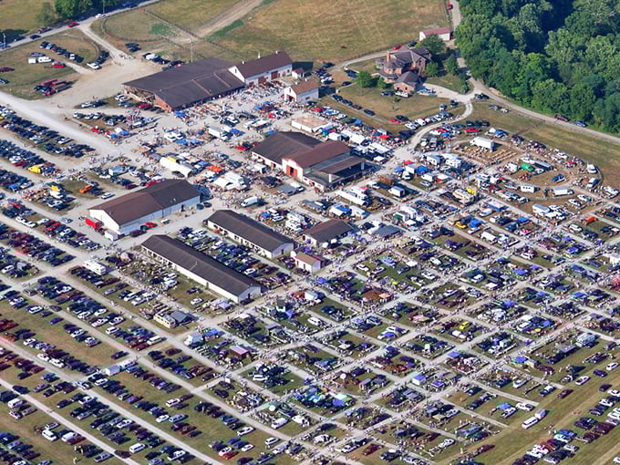 Bid high, buy low at White's Farm! Just don't accidentally auction off your car while reaching for your wallet.