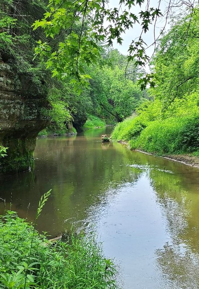 Mountain majesty: These rolling hills prove Wisconsin can do "peaks and valleys" just as well as its western cousins. Take that, Rockies!