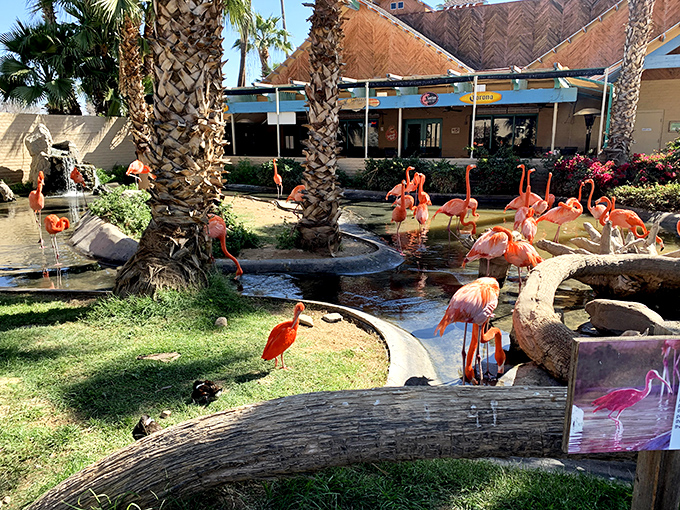 Welcome to the jungle... er, desert? Wildlife World's entrance promises a wild adventure that's anything but your average day at the zoo.