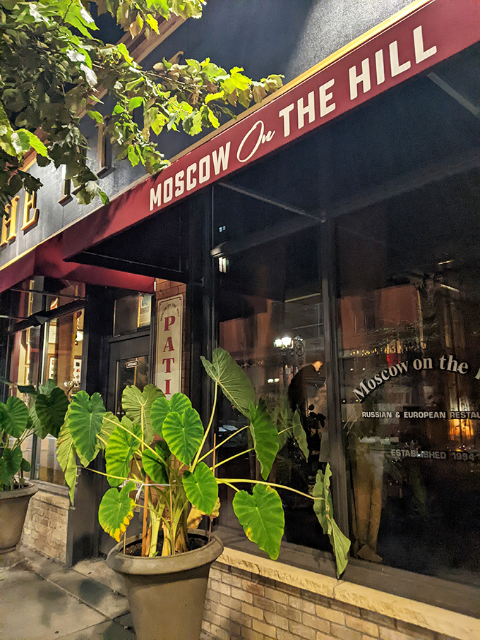 Experience Russian warmth without the Siberian chill at Moscow on the Hill. Their pelmeni are like tiny hugs for your mouth!