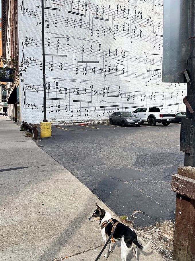 Man's best friend gets cultured. Even dogs can appreciate good art – or maybe he's just looking for a place to leave his mark.