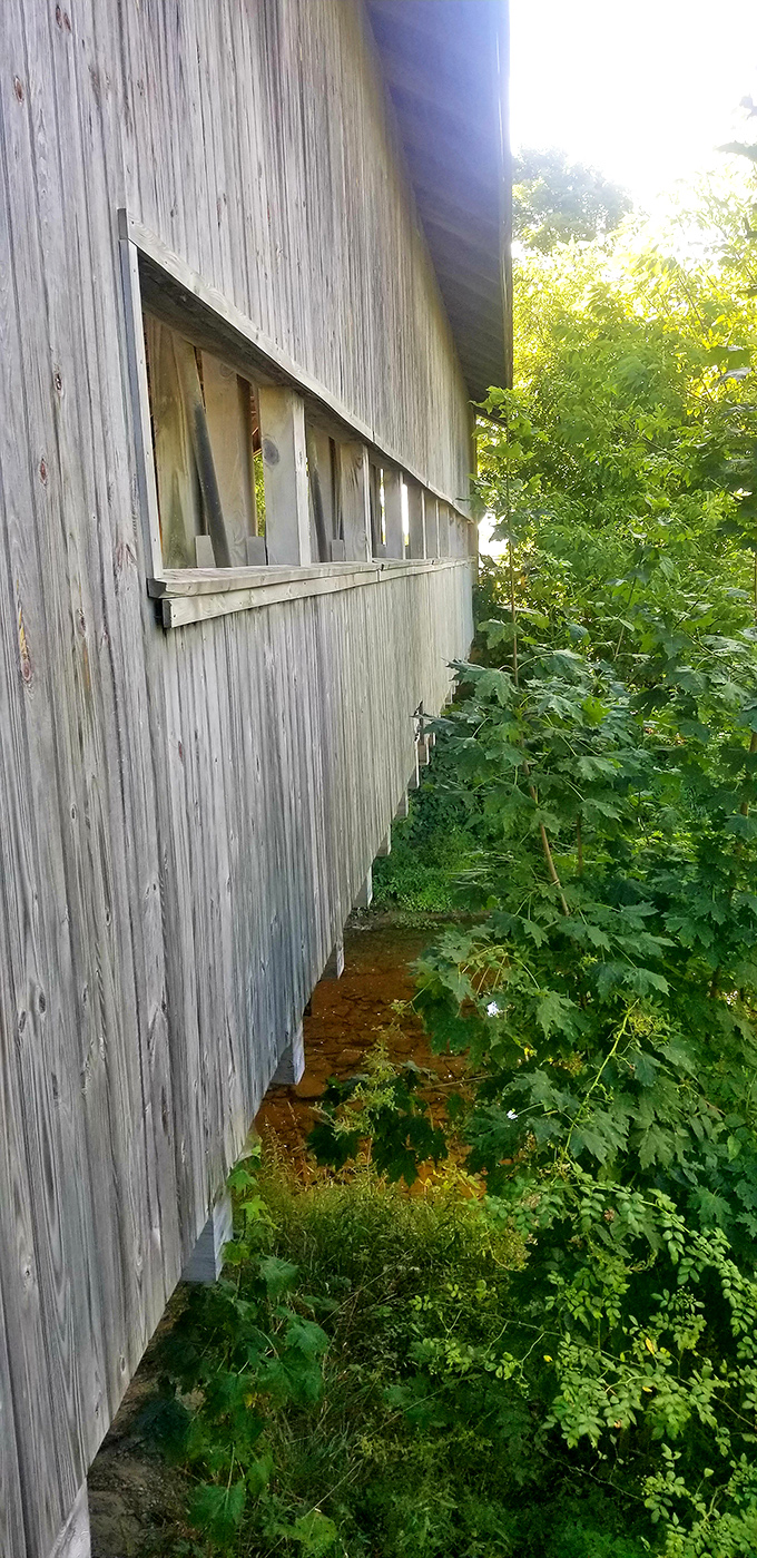 "Weathered wood whispers." These planks have seen more stories than a librarian on overtime. If only they could talk... or maybe it's better they can't.