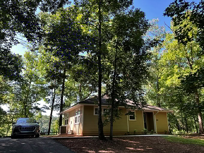 Rustic chic meets forest retreat. This cozy cabin is the Goldilocks of accommodations - not too fancy, not too rugged, just right for a nature escape.