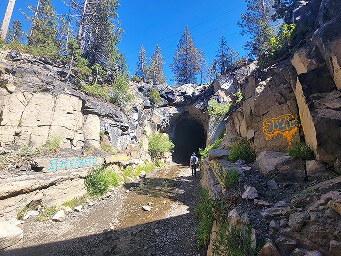 Indiana Jones, eat your heart out! This intrepid explorer is braving the tunnel's mysteries. No snakes in sight, thankfully!