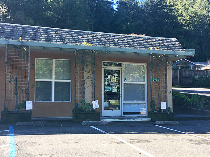 Even Fido gets the five-star treatment in Occidental. This vet clinic probably has better views than most human hospitals!