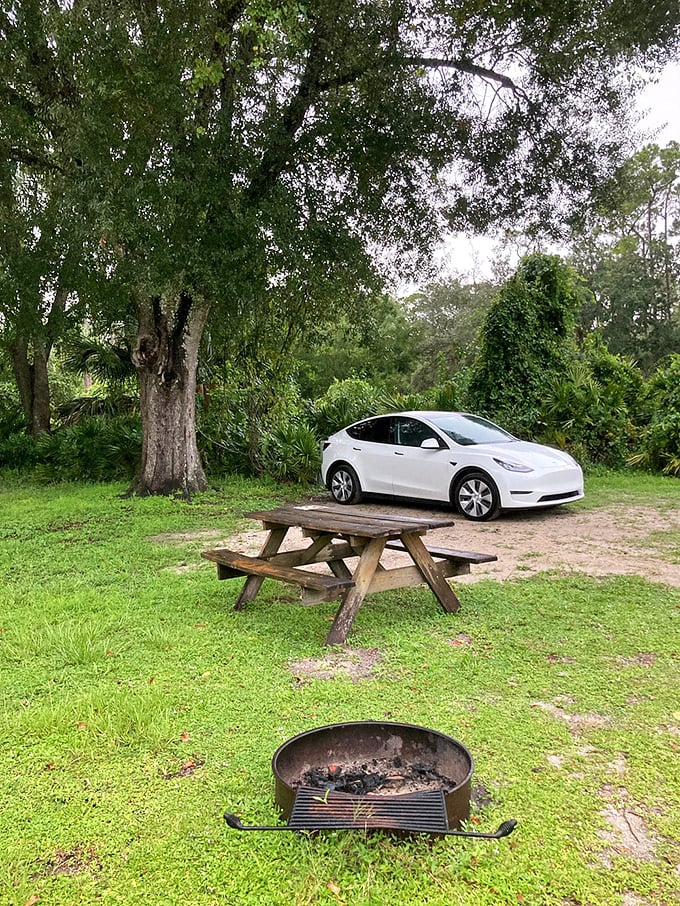 Picnic with a side of serenity, anyone? This spot is perfect for those who like their lunch with a generous helping of fresh air.
