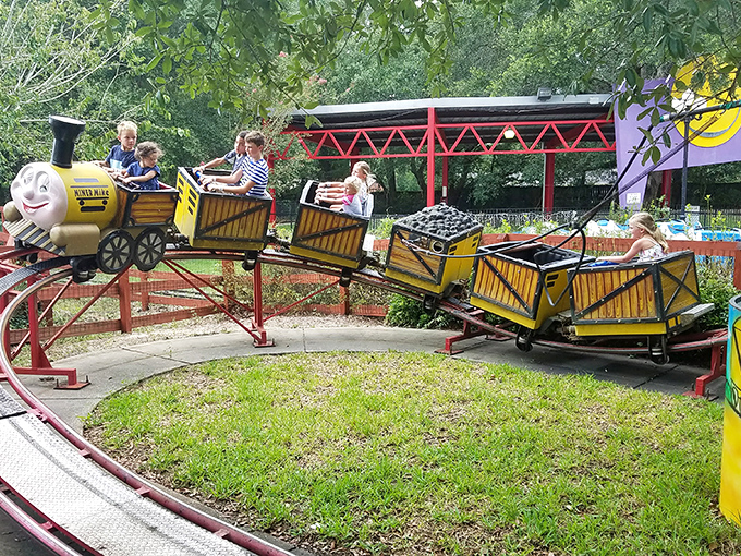 All aboard the giggle express! This mini train ride is proof that you're never too old for a little choo-choo fun.