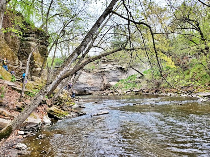 Who needs a white noise machine when you've got this? Minneopa Creek whispers tales of glaciers past as it meanders through the park.