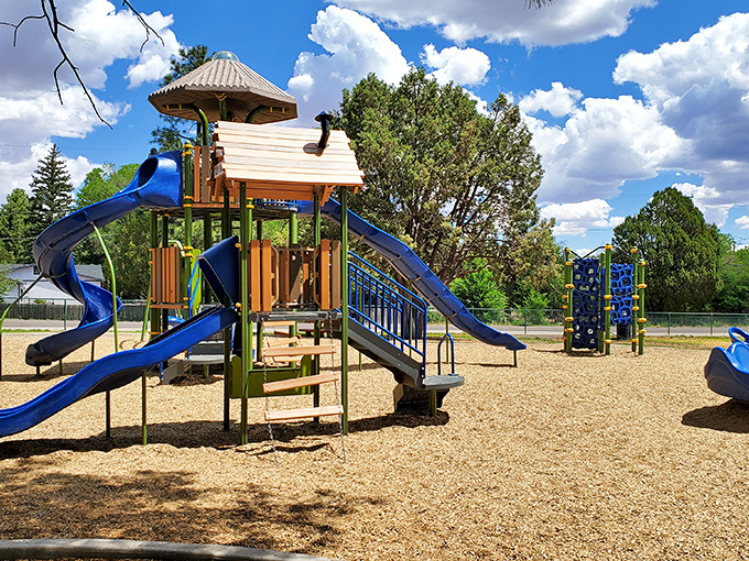Playground paradise! Where kids burn energy faster than you can say "nap time" and adults rediscover their inner child.